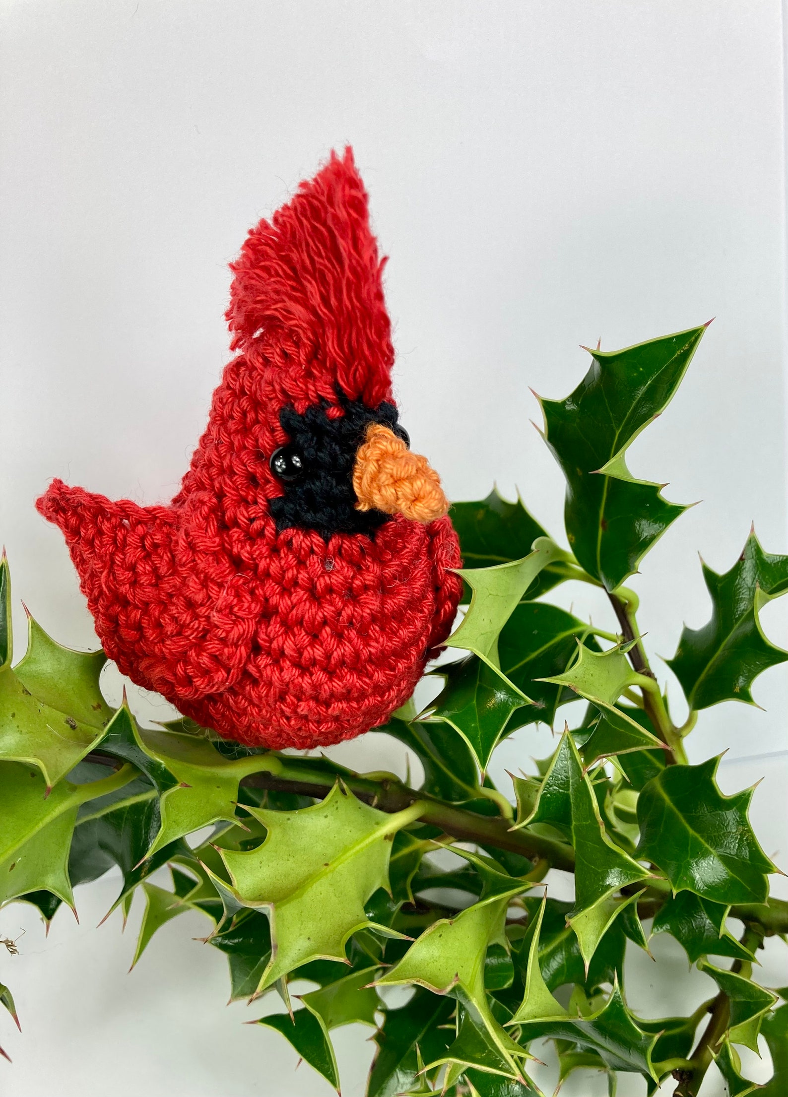 Cardinal Crochet Pattern. A Digital Download Pattern With Step - Etsy