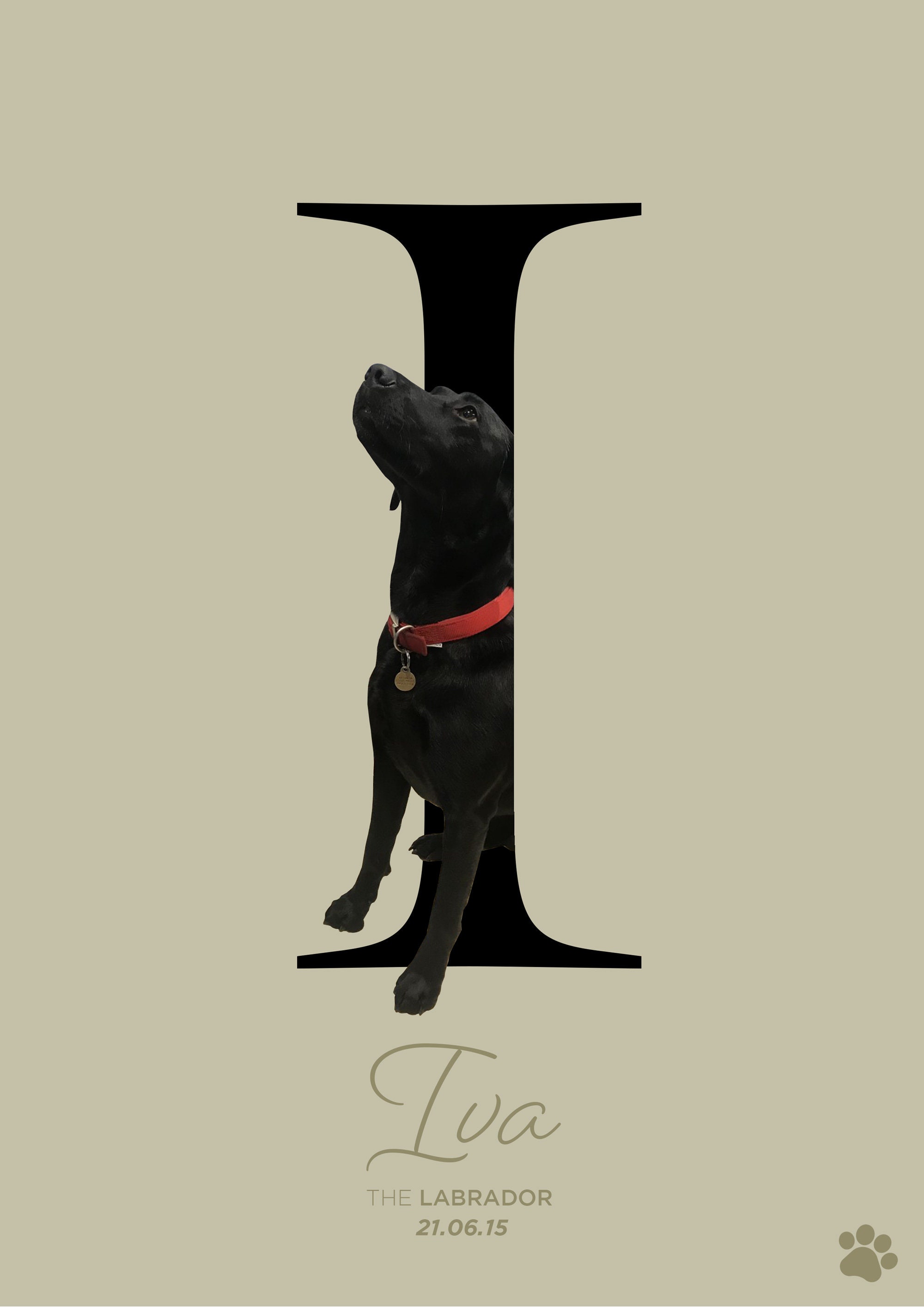 Personalised Pet Dog Alphabet Print Alphabet Pet Gift Art | Etsy Personalised Pet Dog Alphabet Print Alphabet Pet Gift Art | Etsy