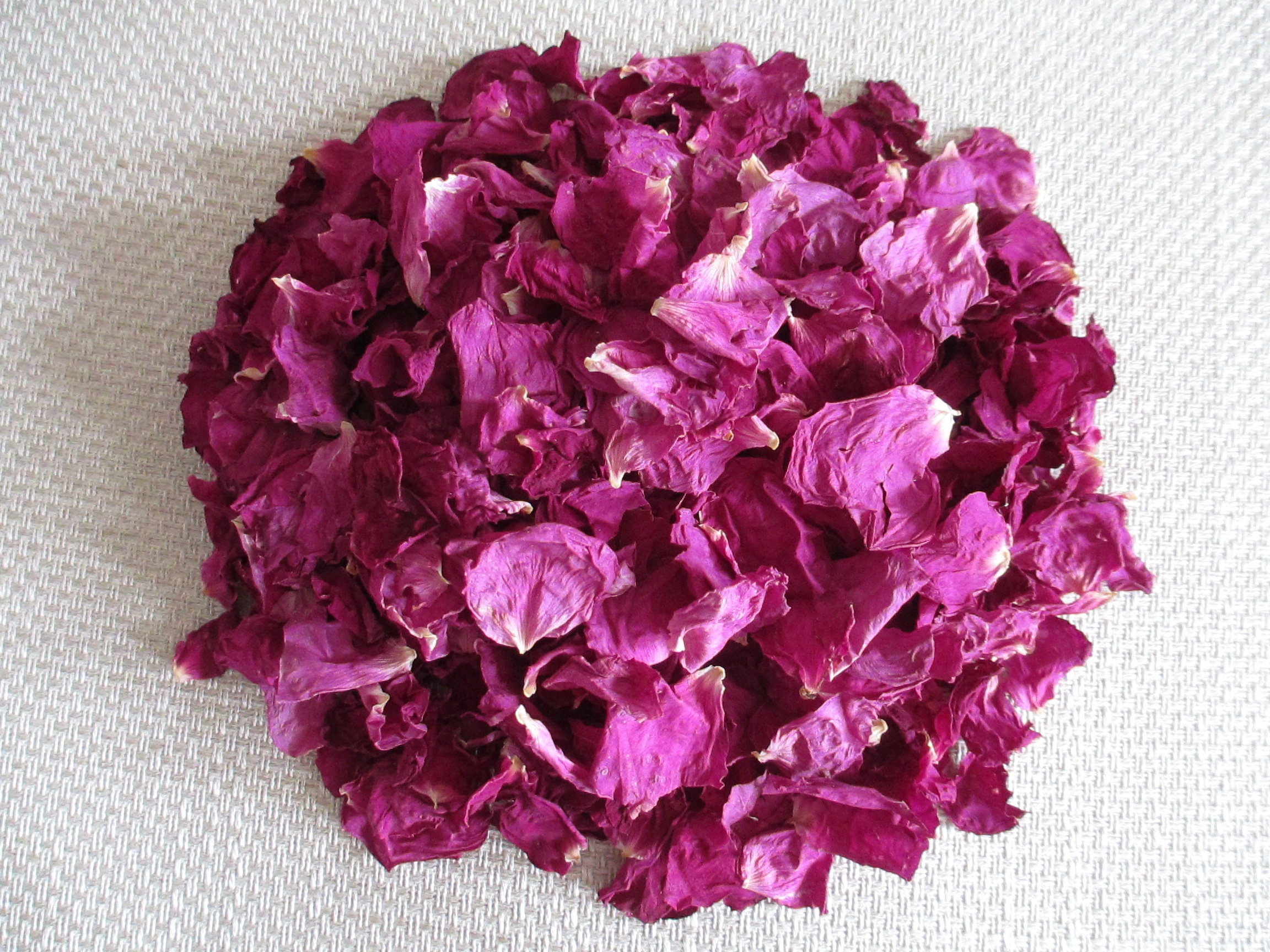 Organic dried petals of Rosa rugosa Wild rose Edible - Etsy