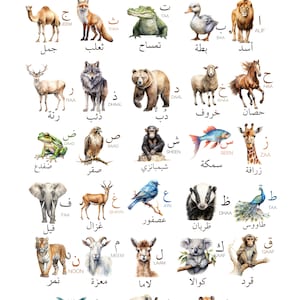 Arabic Animal Alphabet Printable Art, Arabic Gift, Digital Download ...