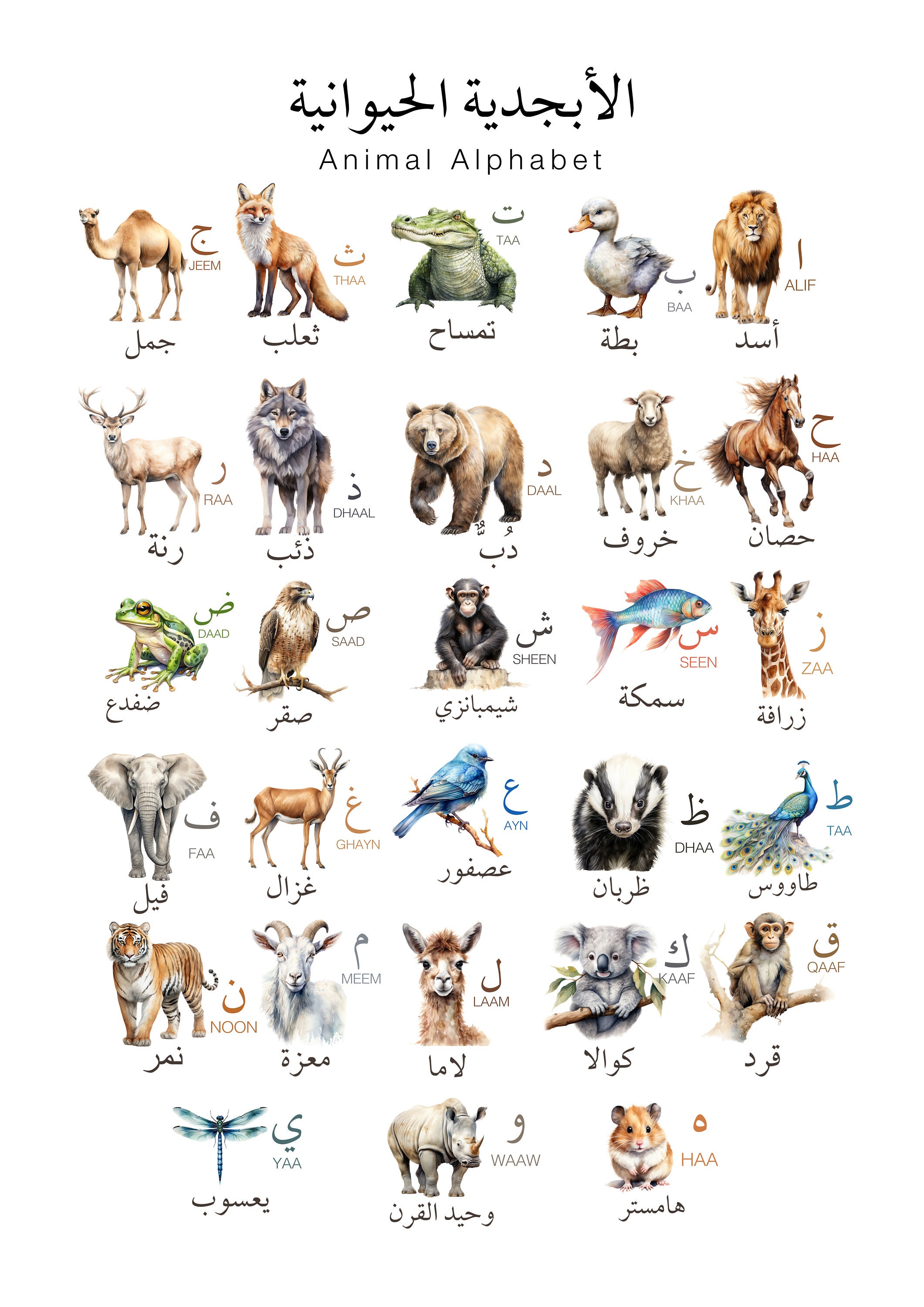 Arabic Animal Alphabet Art Print, Nursery Decor (digital Download) - Etsy