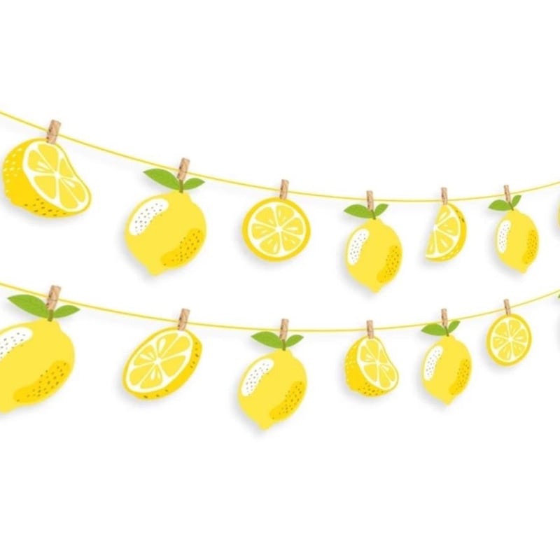 Lemon Backdrop - Etsy