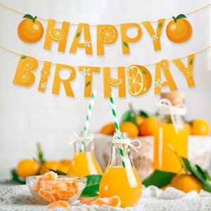 Orange Citrus Happy Birthday Banner: Summer Fruit Party Decor - Etsy