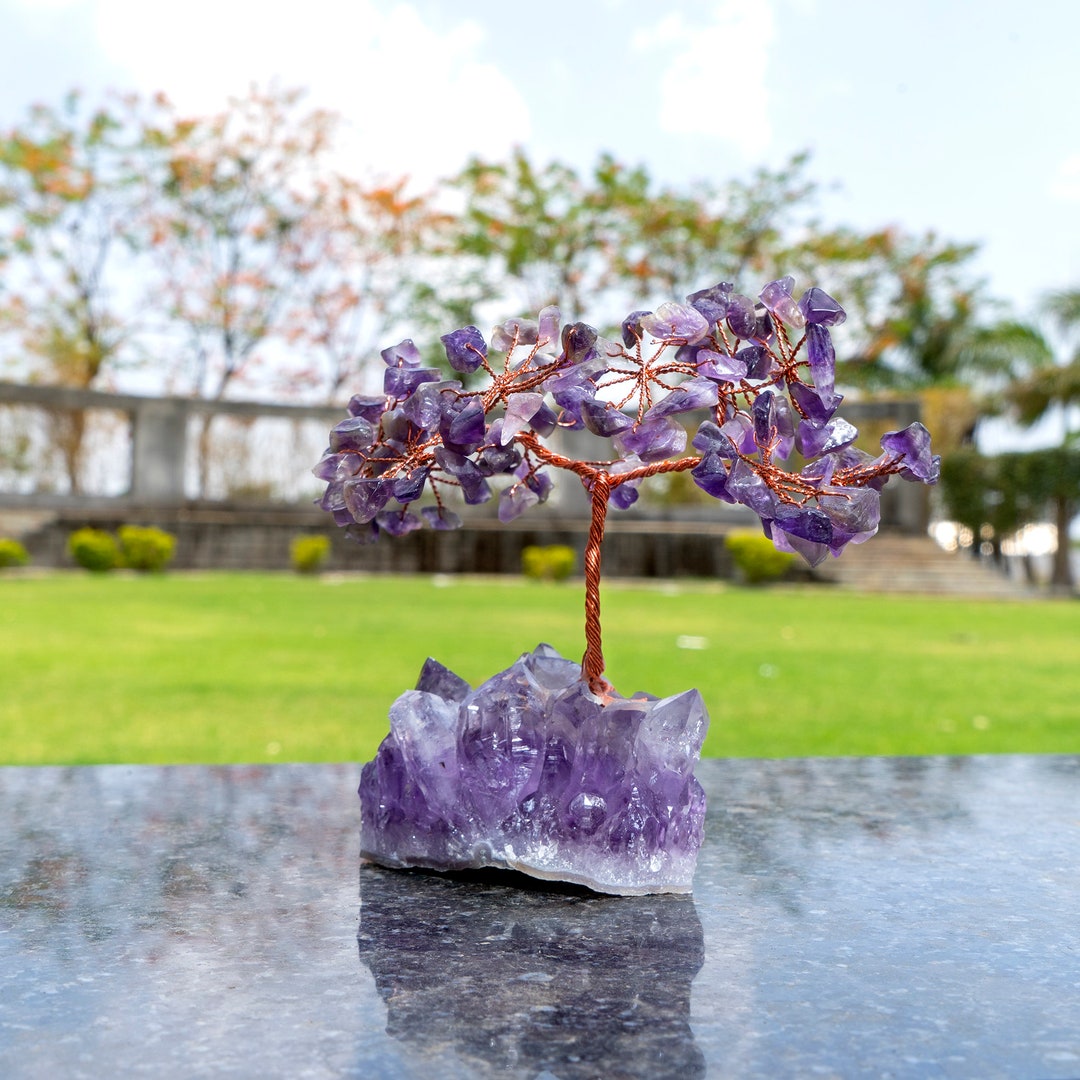 Amethyst Crystal Gemstone Tree With Natural Geode Base Bonsai Money ...