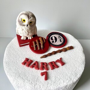 Handmade Edible Magical Wizard Theme Owl, Magic Book, Wand, Cake ...