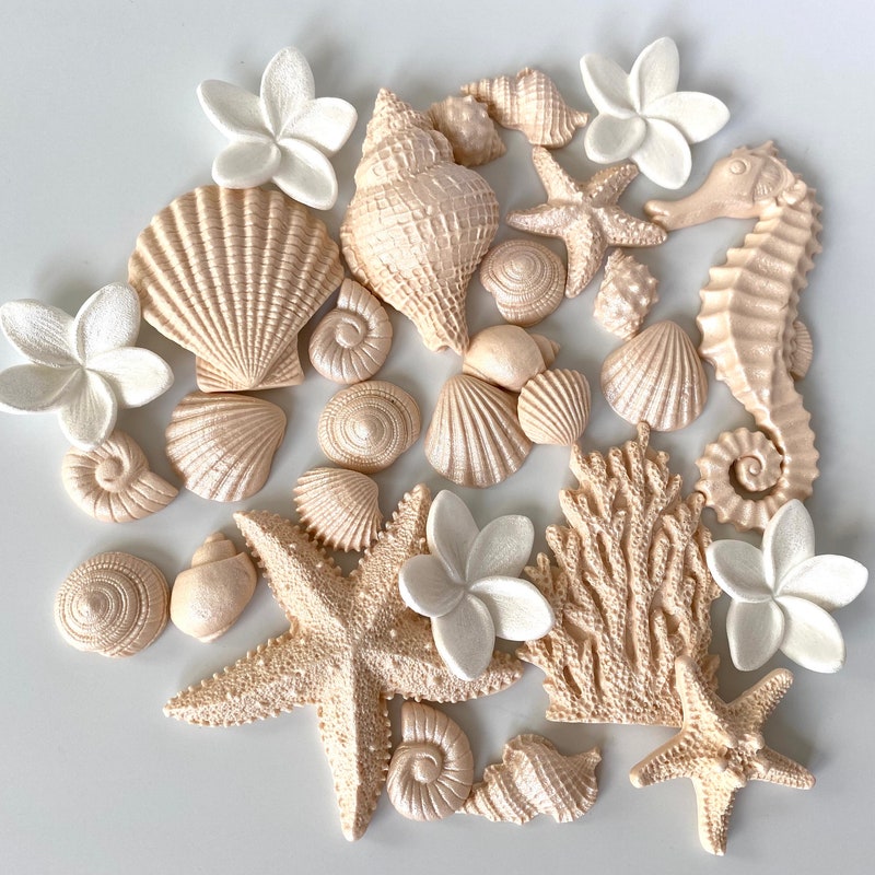 Edible Sea Shells - Etsy