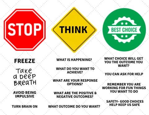 Traffic Light Behavior Visual Chart and Stop, THINK, Choice Visual ...