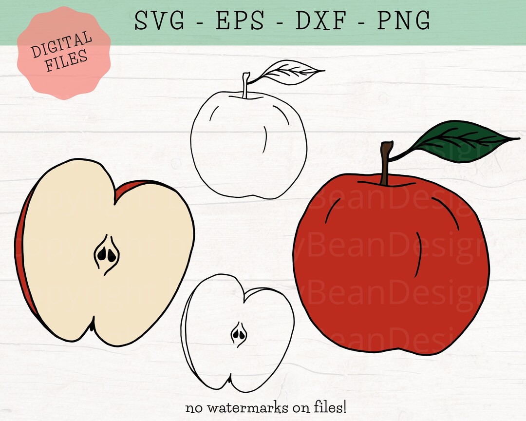 Hand Drawn Apple SVG, Thanksgiving SVG, Apple PNG, Vintage Fall Svg ...