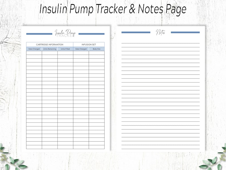 Diabetes Tracker / Printable Diabetes Templates / Diabetes Log With ...