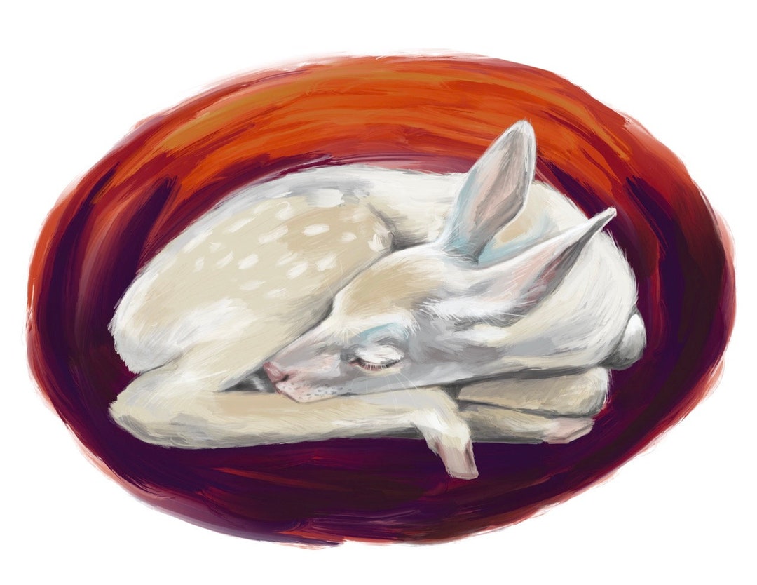 Sleeping Fox Deer Red Fox Wildlife White Albino Deer Art Print 8x10 ...