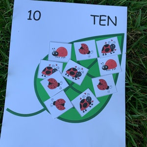 Counting With Ladybugs - Etsy