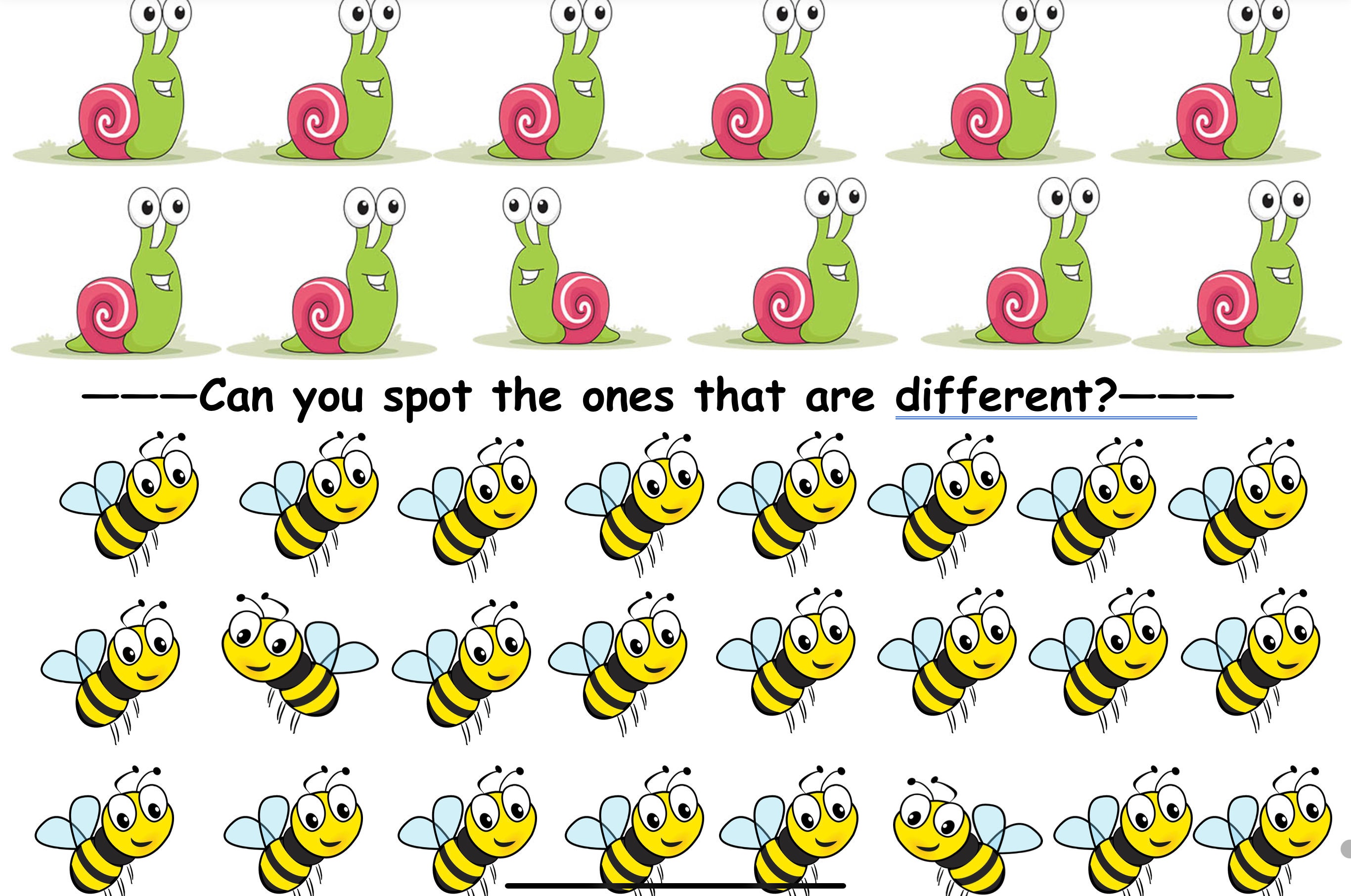 Visual Discrimination With Insects! - Etsy