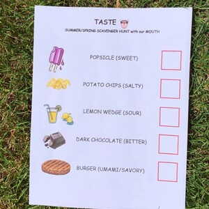 Five Senses Summer/spring Scavenger Hunts - Etsy