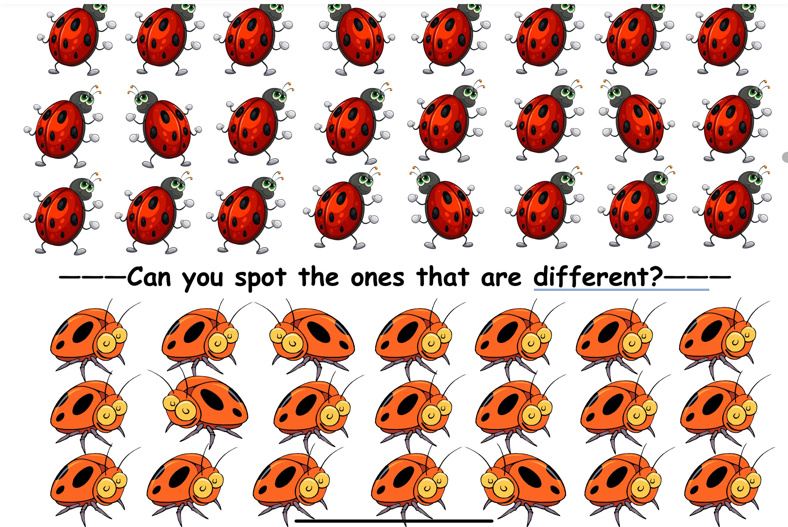 Visual Discrimination With Insects! - Etsy