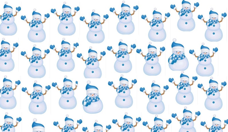 Winter Visual Discrimination - Etsy