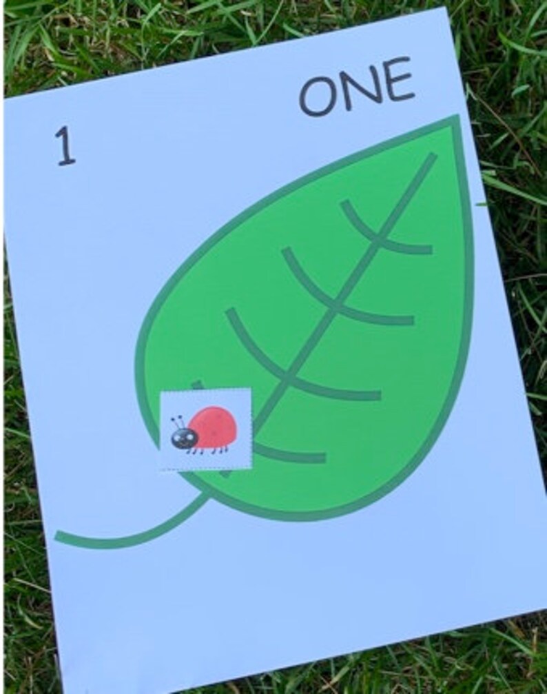 Counting With Ladybugs - Etsy