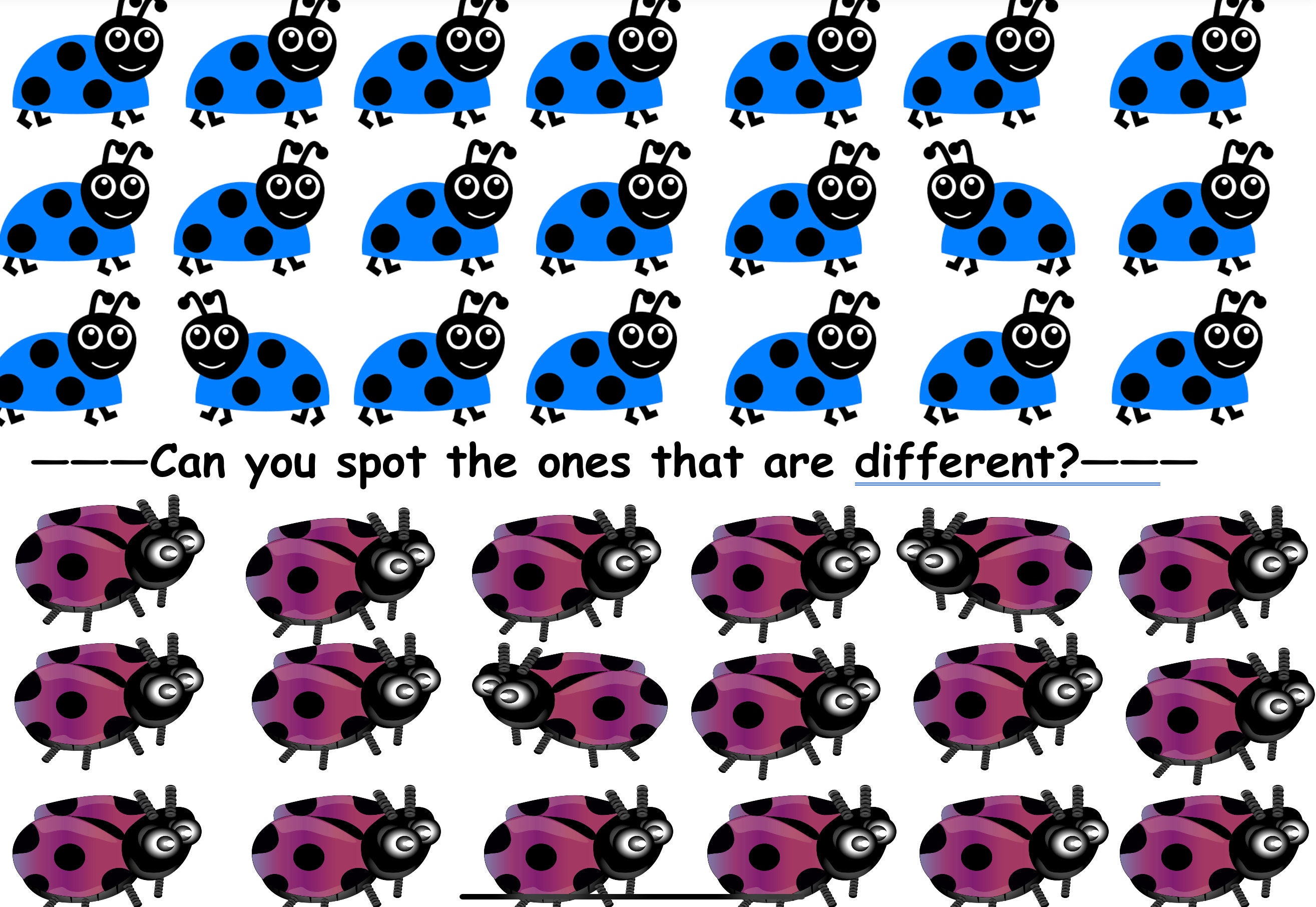 Visual Discrimination With Insects! - Etsy