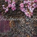Roses and Ivy Digital Backdrop Background for Photoshop - Etsy