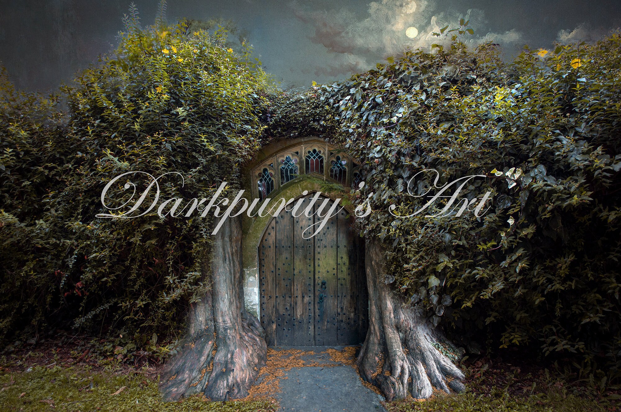 Moonlight Digital Backdrop Background for Photoshop - Etsy