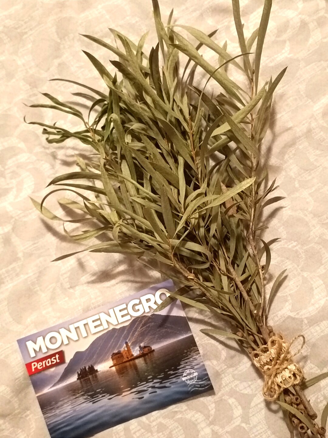 Dried Natural Manuka Bunch, Small Bottle Decor Organic Greenery ...