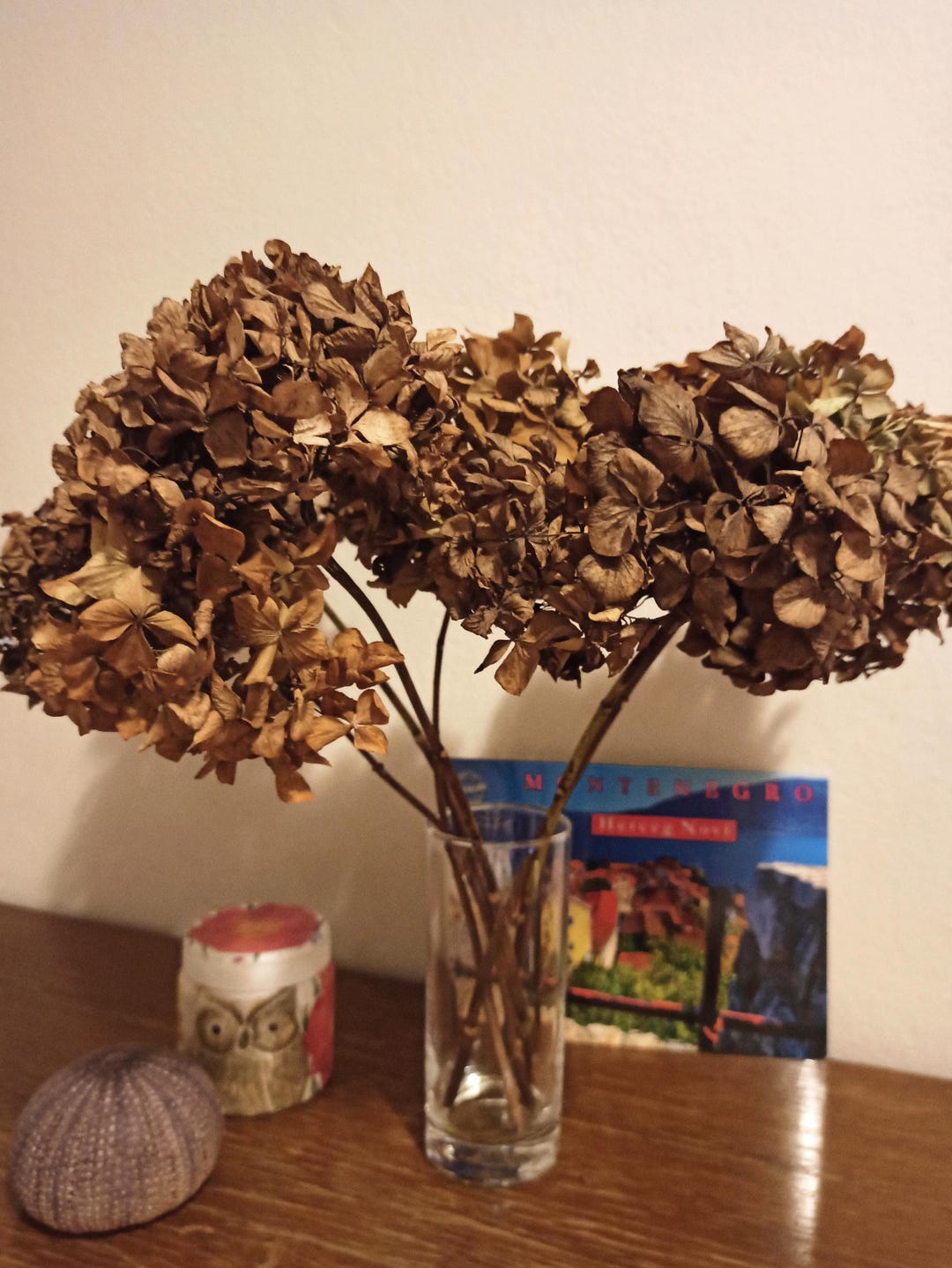 3 Stems Natural Dried Hydrangea: Brown Beige Floral Arrangement - Etsy