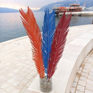 Dried Colorful Palm Leaves, Organic Tropical Sago Palm Leaf, Natural ...
