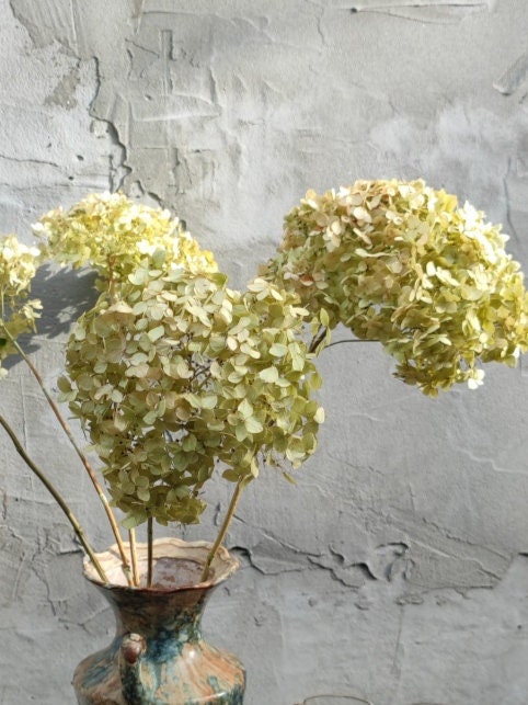 3 Stems Dried Antique Hydrangea: Green Beige Floral Arrangement - Etsy