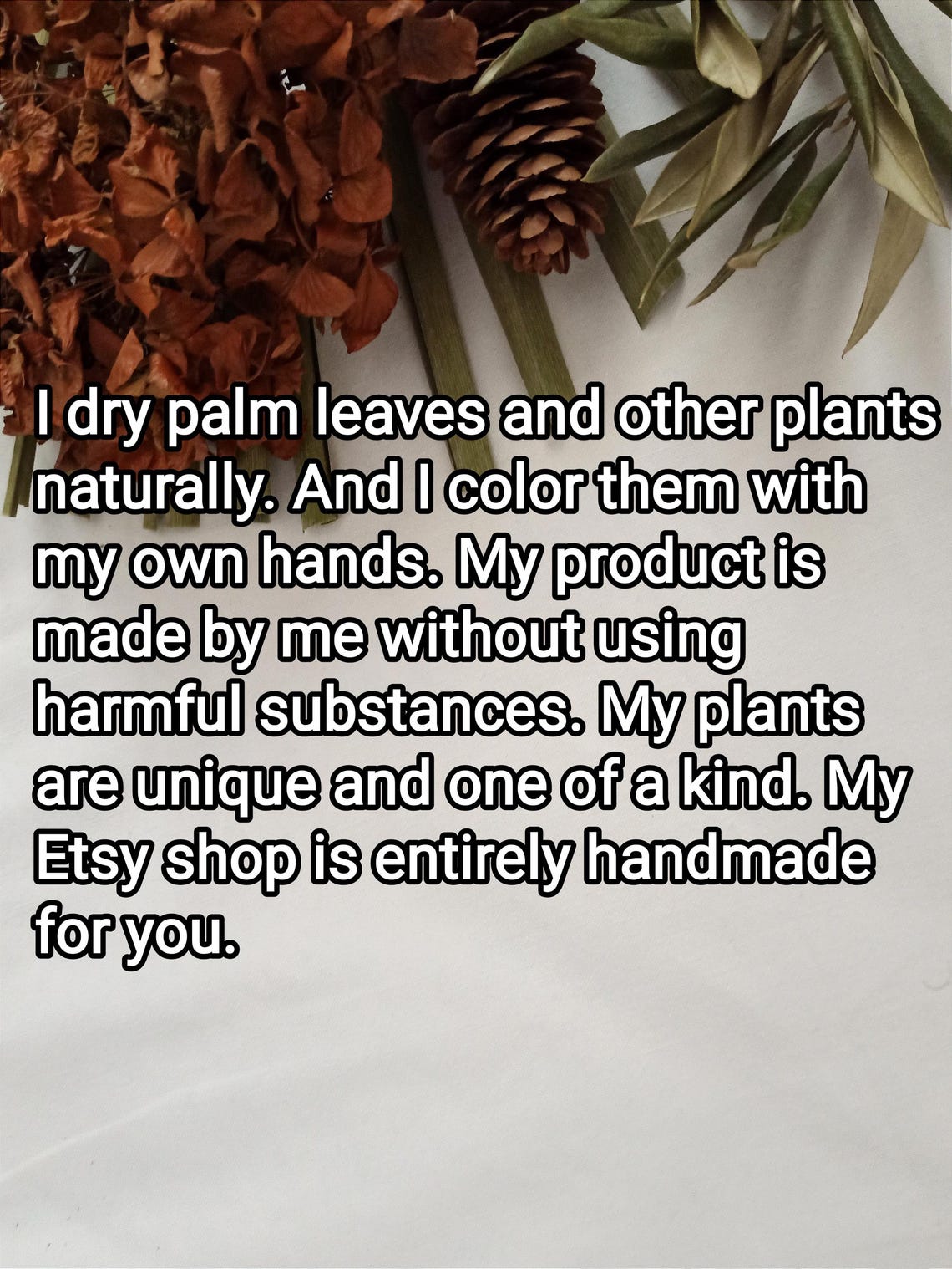 2 Stem Dried Date Palm Leaves: Natural Tropical Wedding Home Decor, 24 ...