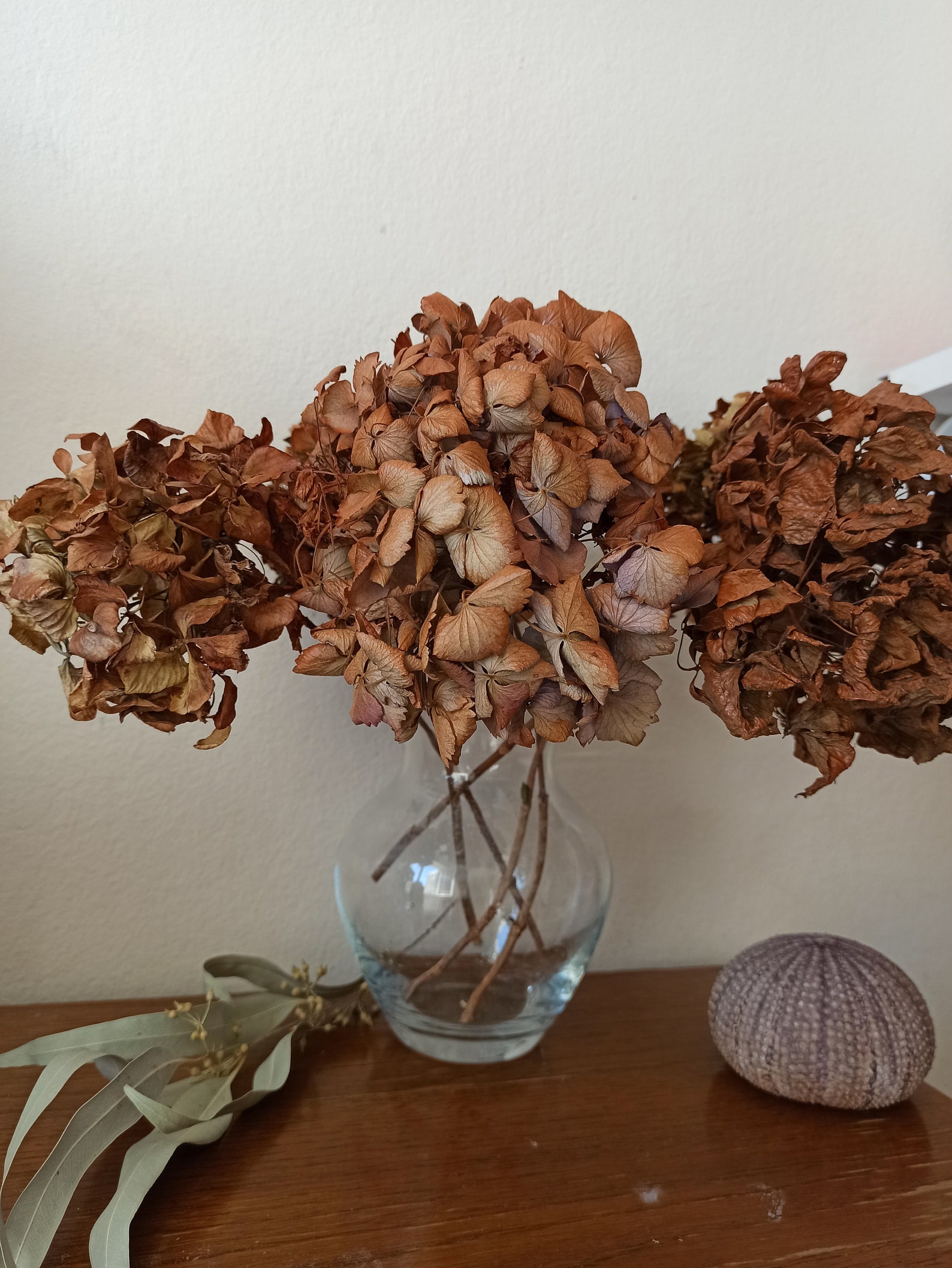 3st Natural Colored Dried Antique Hydrangea, Earthy-wood Tone, Rustic ...