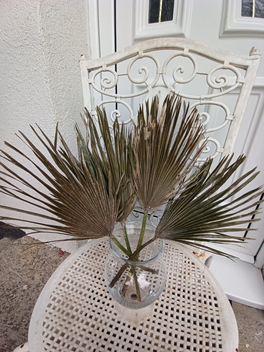 2 Stems Dried Palm Leaves, Organic Tropical Fan Palm Leaf, Natural Dry ...