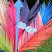 RAINBOW Dried Sago Palm Leaves 1st, Multicolor, Natural Dry Flower Home ...
