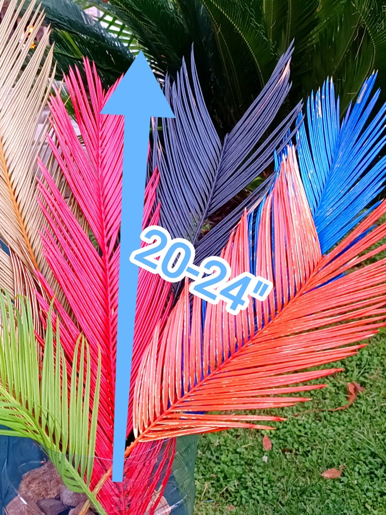 Rainbow Dried Sago Palm Leaf: Boho Tropic Wedding Aisle Arrangement - Etsy