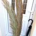 RAINBOW Dried Sago Palm Leaves 1st, Multicolor, Natural Dry Flower Home ...