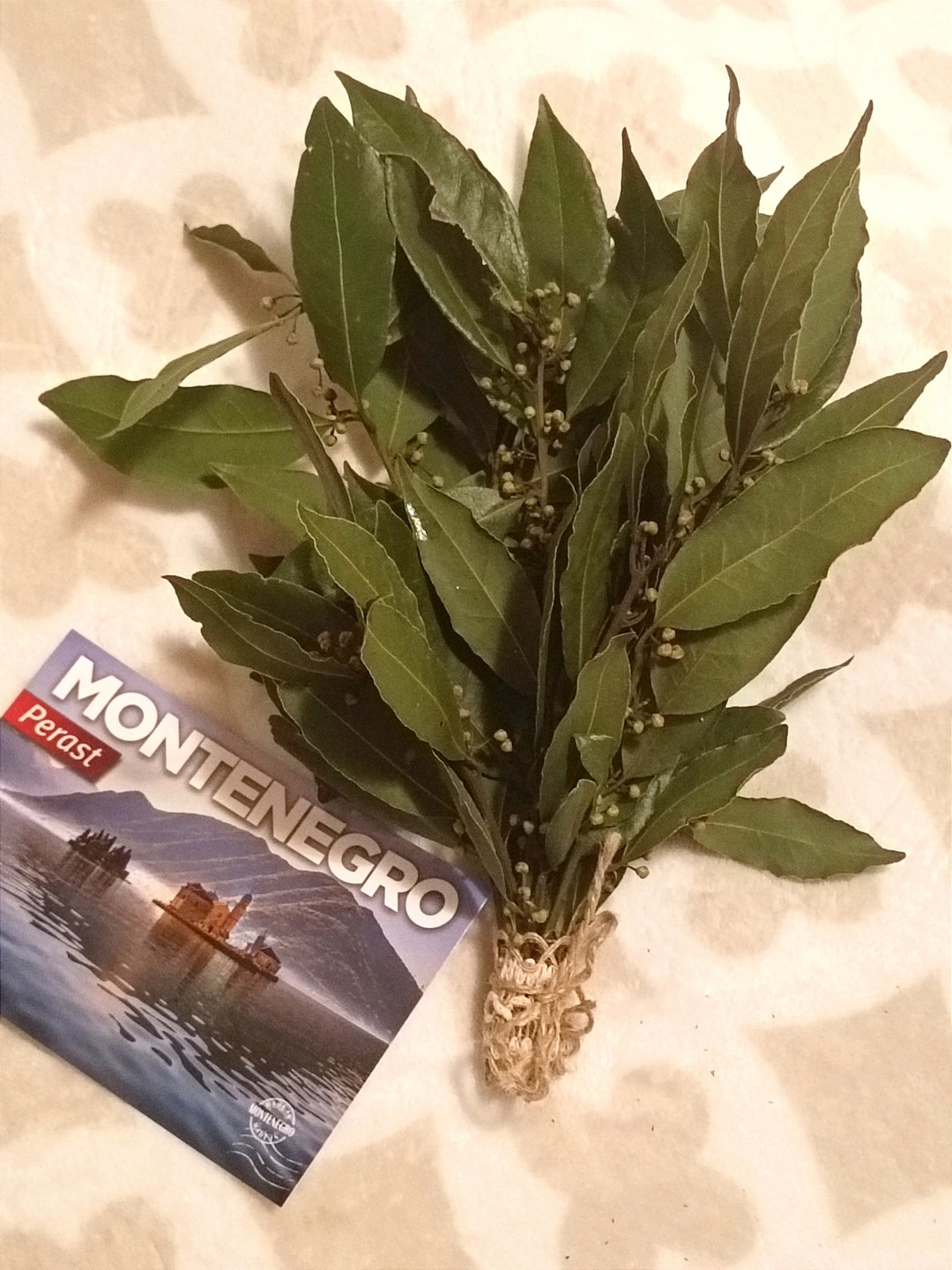 Dried Laurel Bouquet: Natural Fragrant Greenery, Tropical Table Decor ...