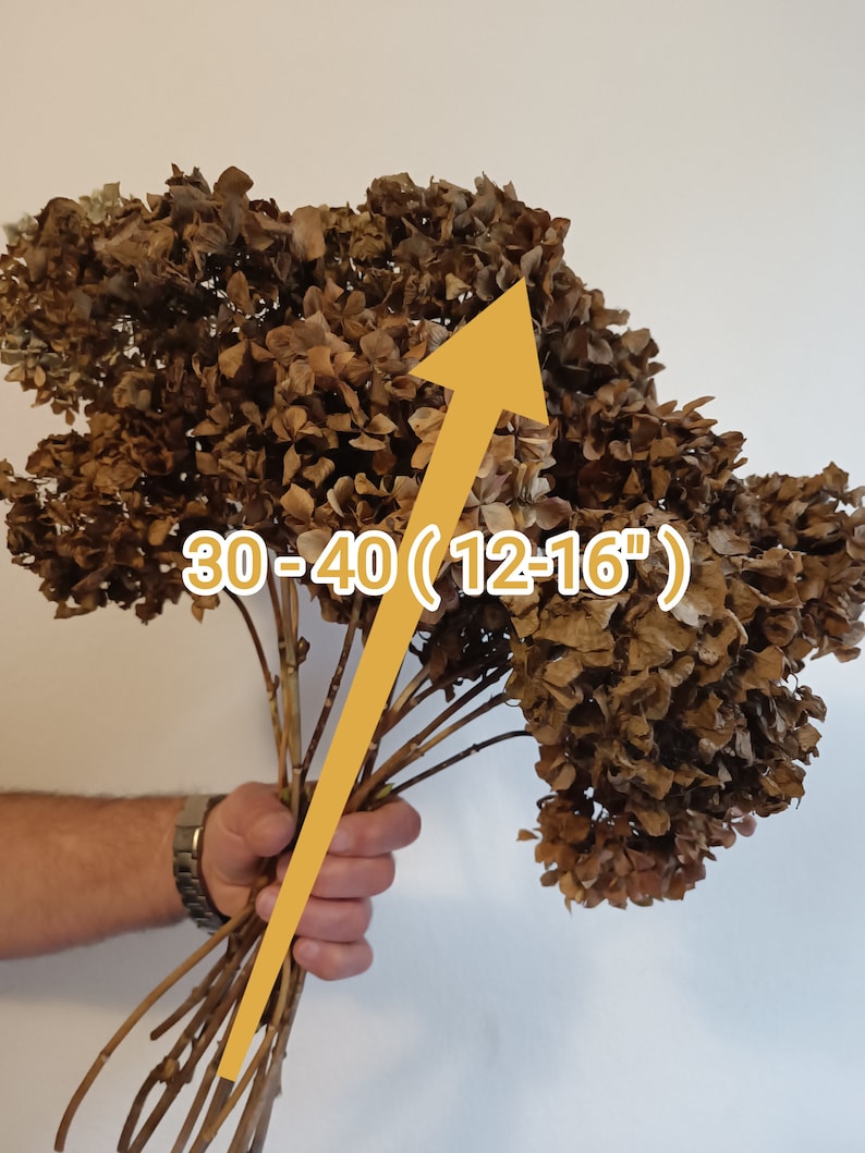 3st Natural Dried Hydrangea: Earthy Rustic Floral Arrangement - Etsy