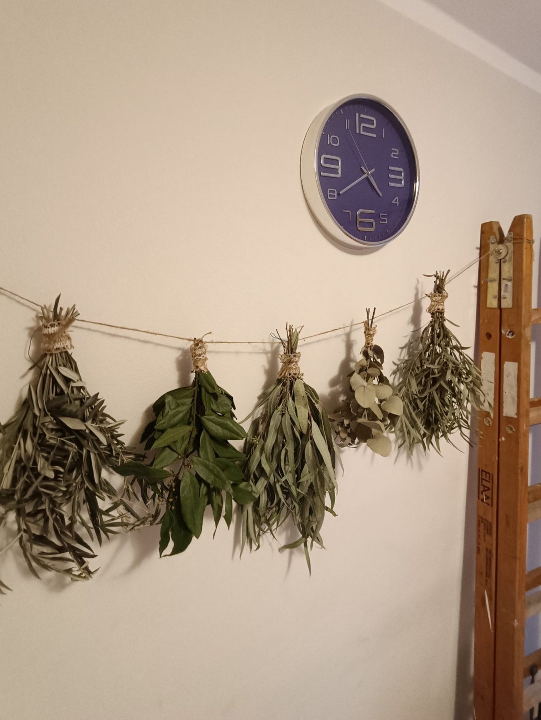 Natural Dried Greenery Wall Hanging, Fragrant Bunch, Organic Tropic ...