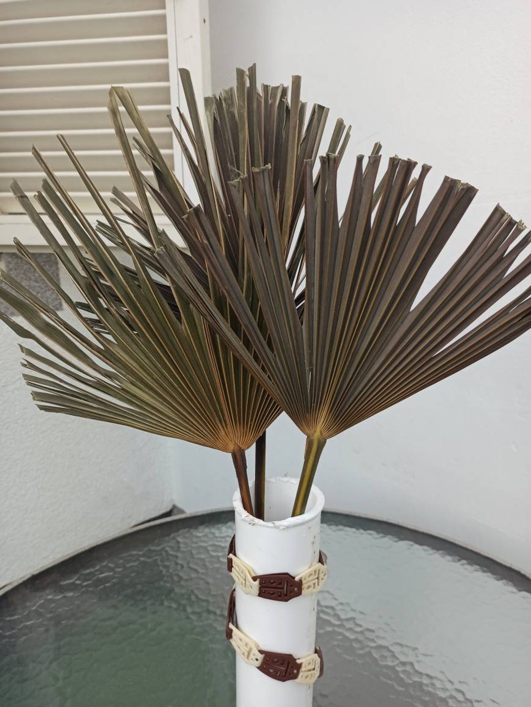 NATURAL DRIED PALM 1 Leaf, Sun Dried Palm Fronds, Old Green Tone ...