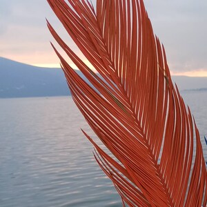 Dried Colorful Palm Leaves, Organic Tropical Sago Palm Leaf, Natural ...