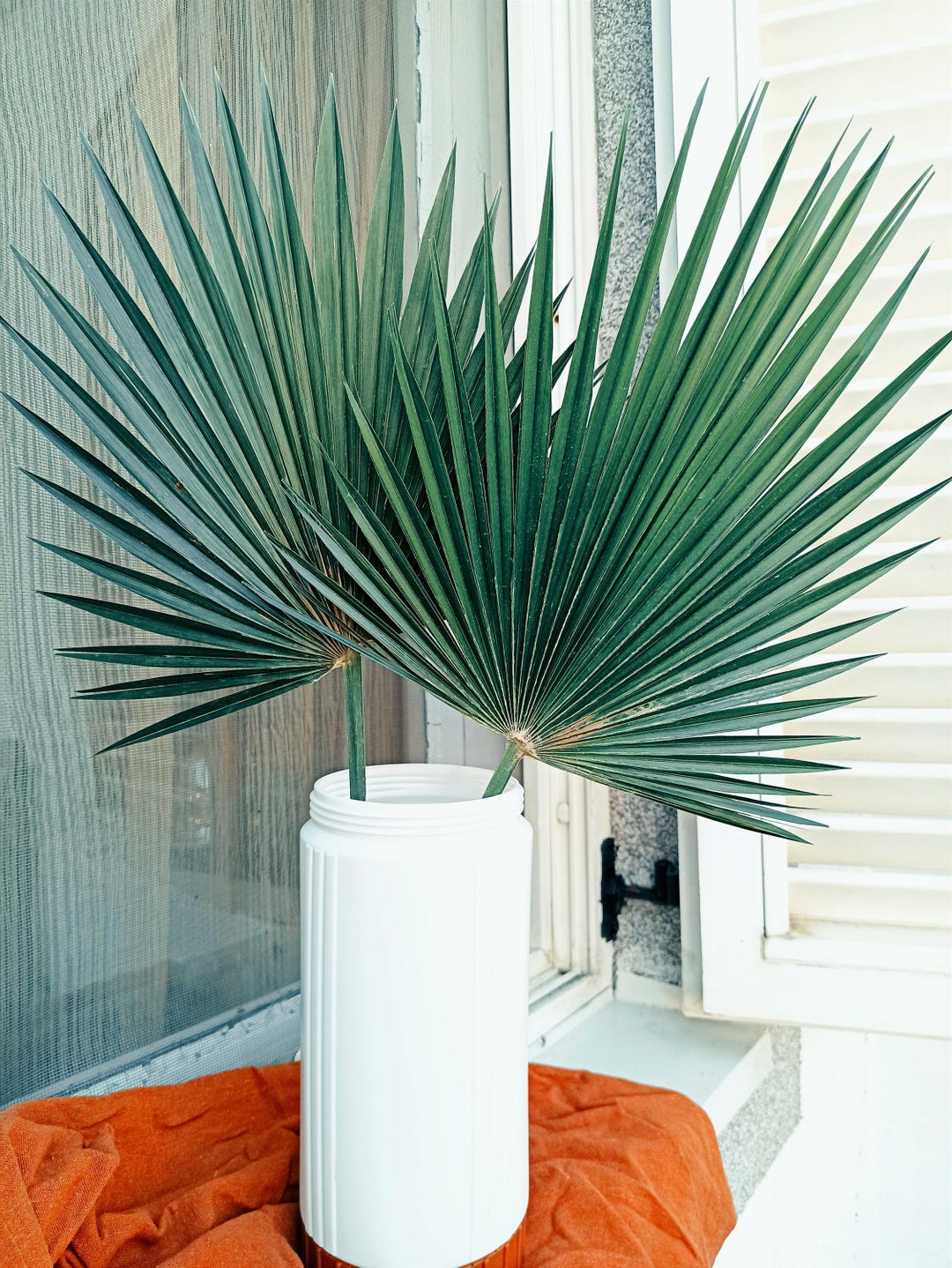 Natural Painted Dried Sun Palm Leaf: Organic Tropic Decor, Beach ...