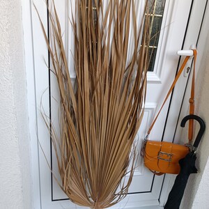 4,5ft SUPER LARGE PALM Leaf, Jumbo Dried Organic Palm, Dry Palm Leaves ...