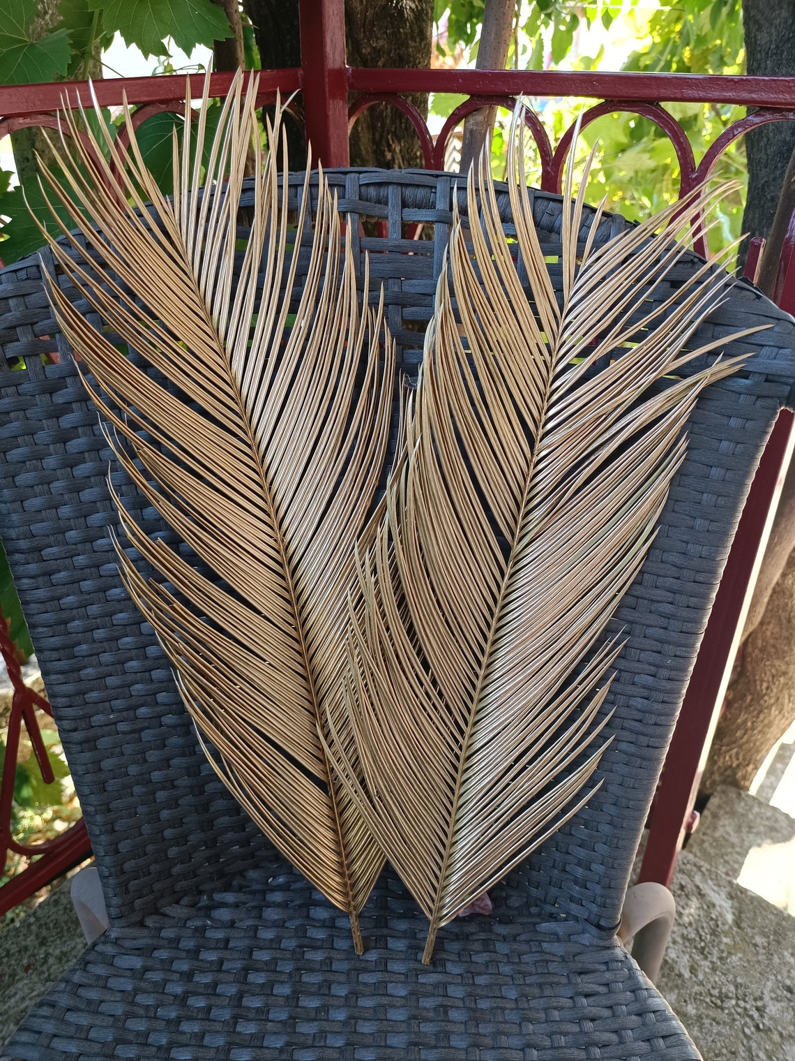 Rainbow Dried Sago Palm Leaf: Boho Tropic Wedding Aisle Arrangement - Etsy