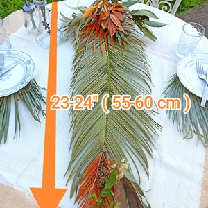 Natural Dried Palm Arrangement 22/40" Palm Arch, Palm Backdrop, Wall ...