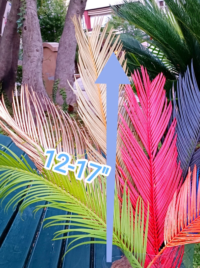 Rainbow Dried Sago Palm Leaf: Boho Tropic Wedding Aisle Arrangement - Etsy