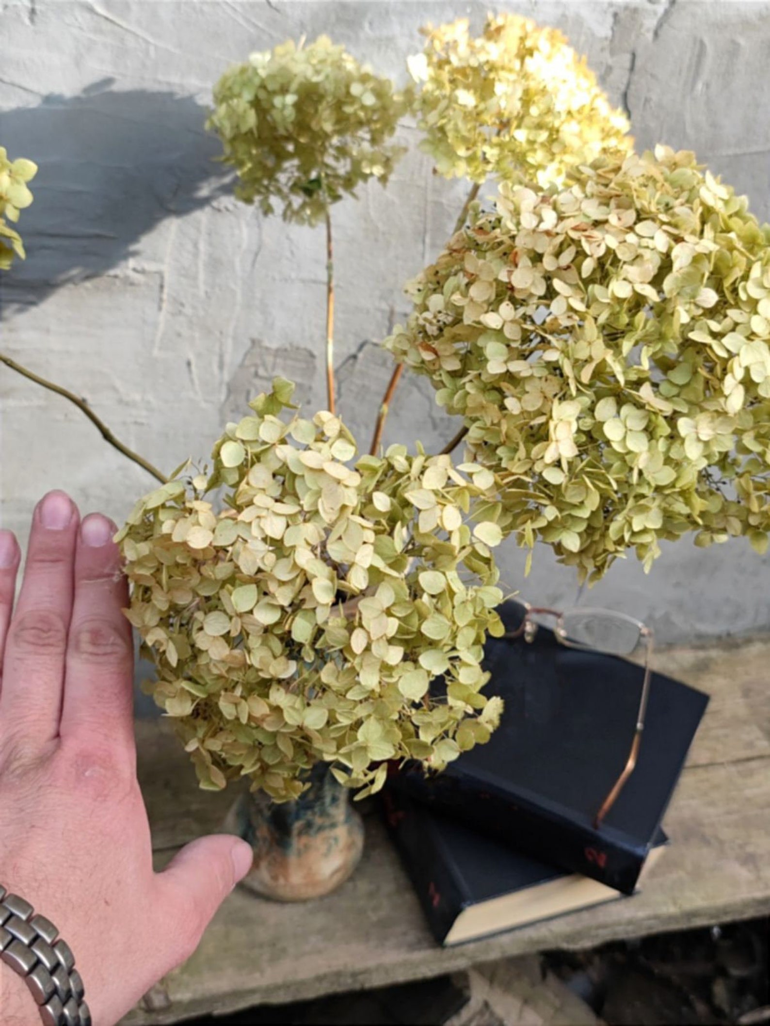 3 Stems Dried Antique Hydrangea: Green Beige Floral Arrangement - Etsy
