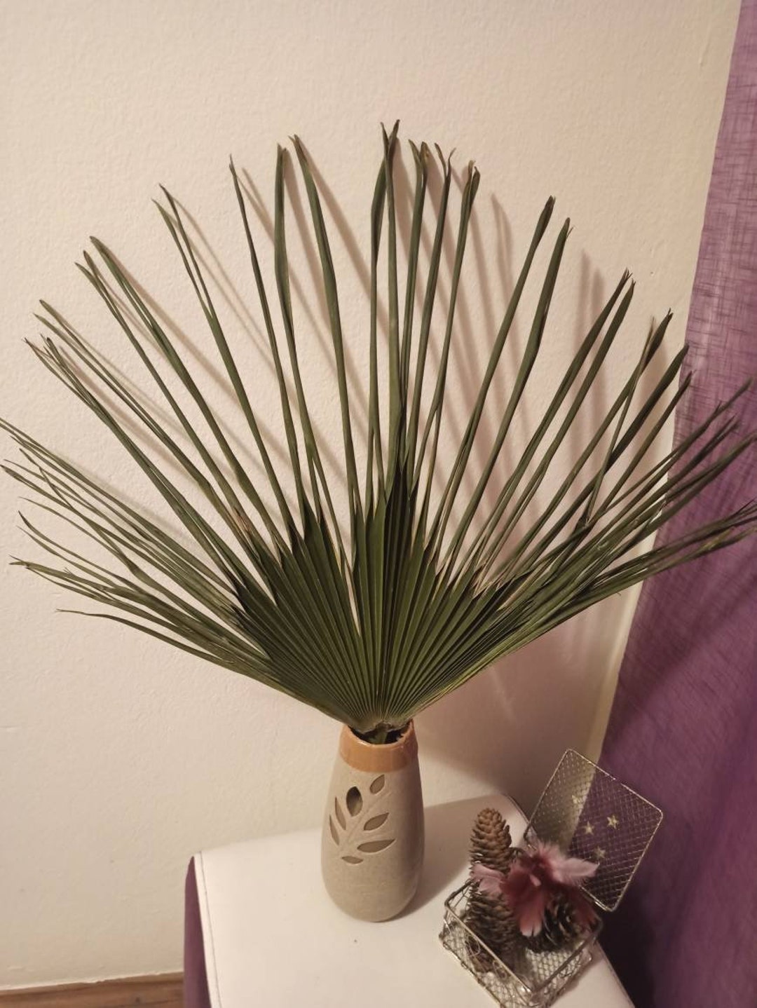 LARGE PALM LEAVES 24, Sun Dried Palm Fronds, Natural Palm Leaves ...