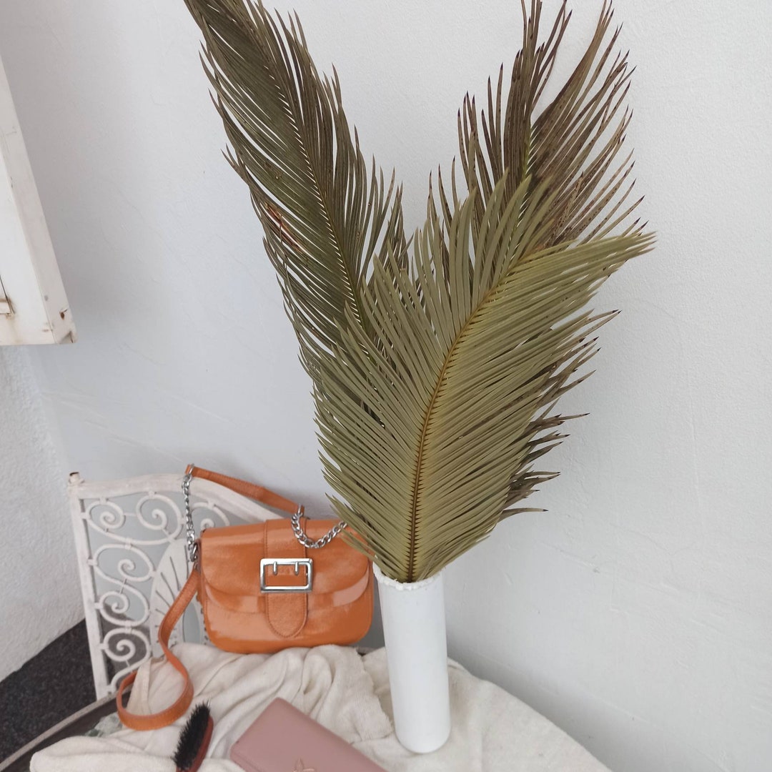 Large Dried Palm Leaves (40"): Natural Tropical Centerpiece Home Decor ...