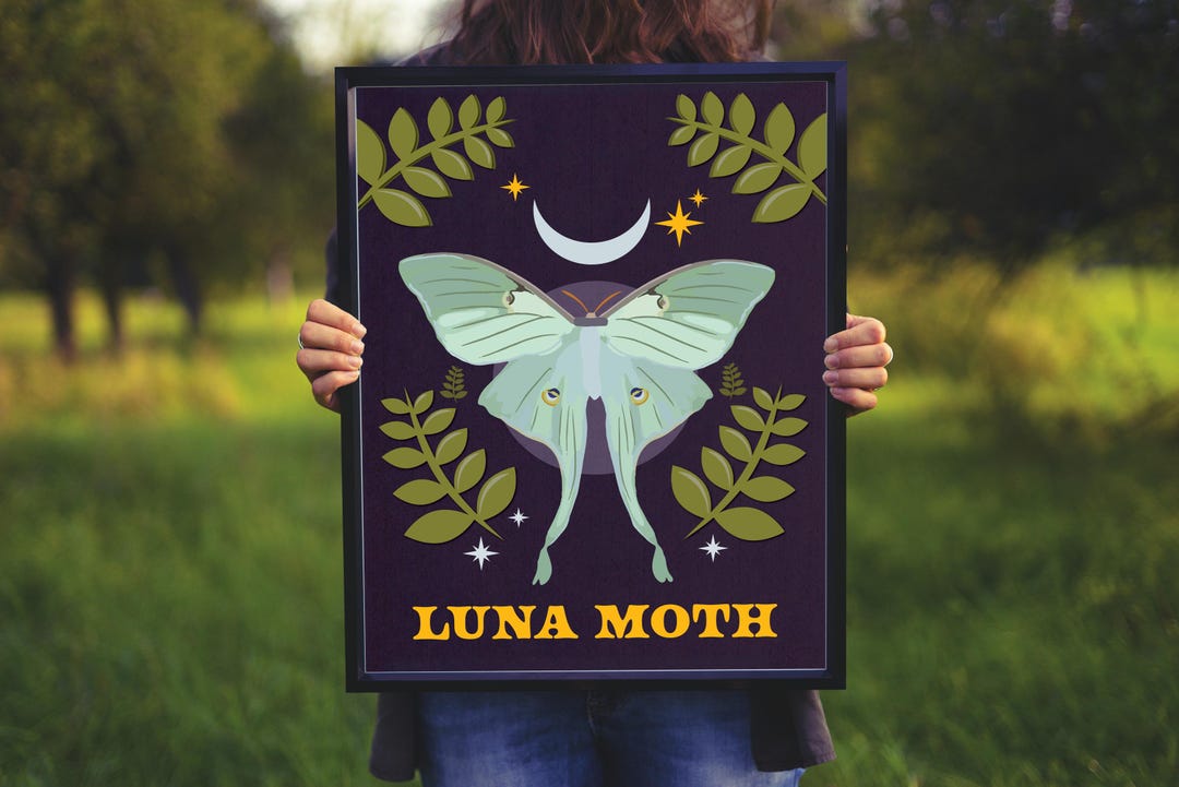 Luna Moth Print Moths 18x24 Poster Digital Download Luna Moths Moons ...