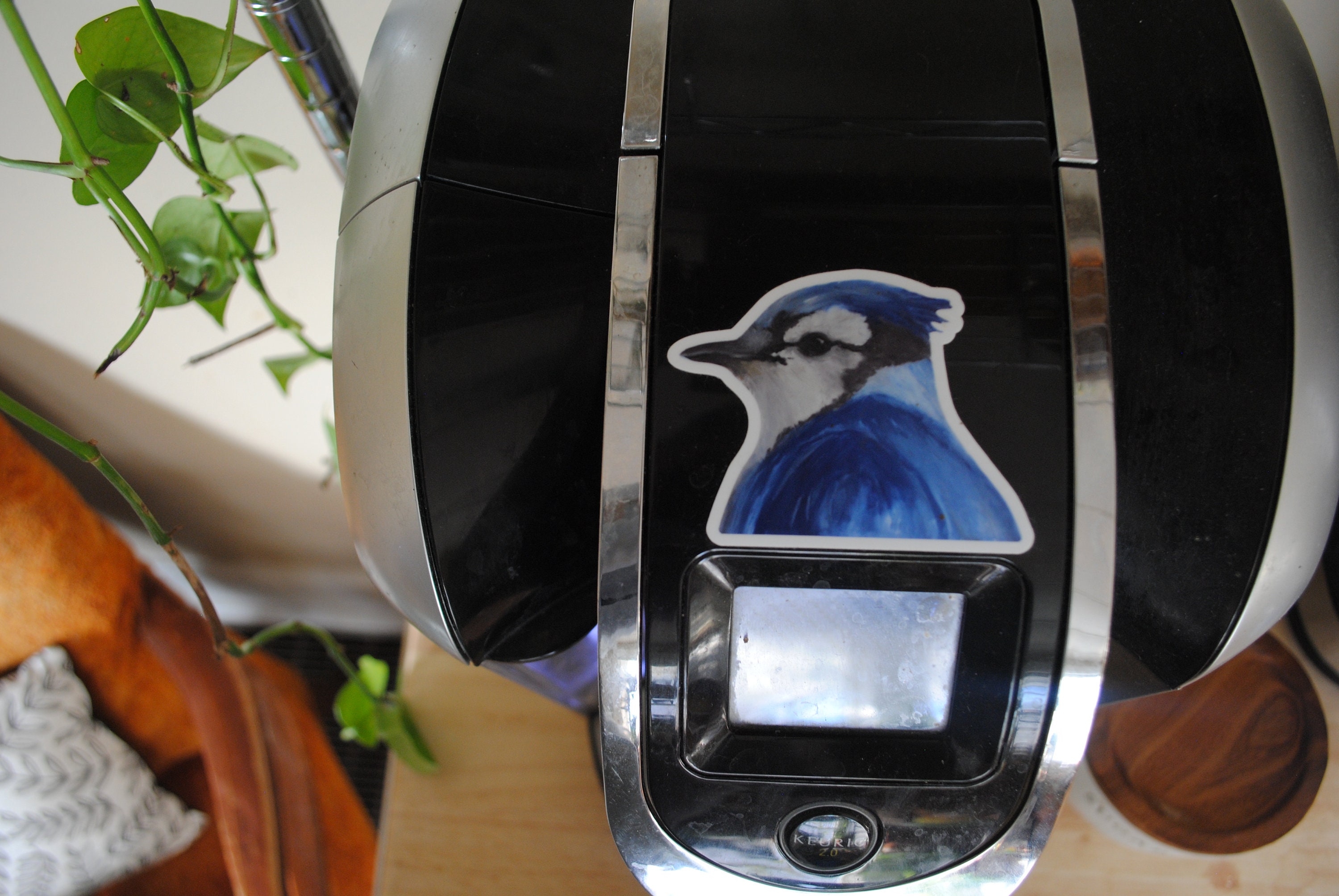 Water proof bird sticker water bottle sticker laptop sticker | Etsy