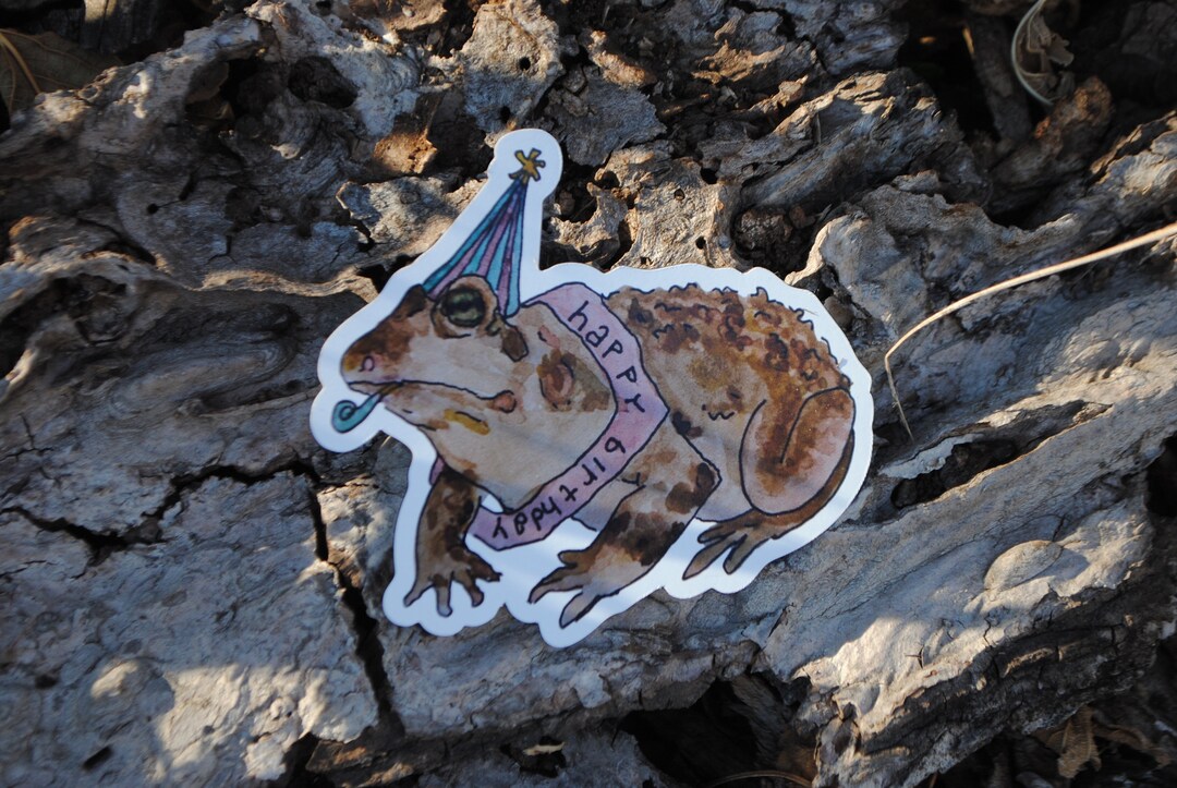 Happy Birthday Toad Magnet Fridge Magnet Cottage Core Toad - Etsy