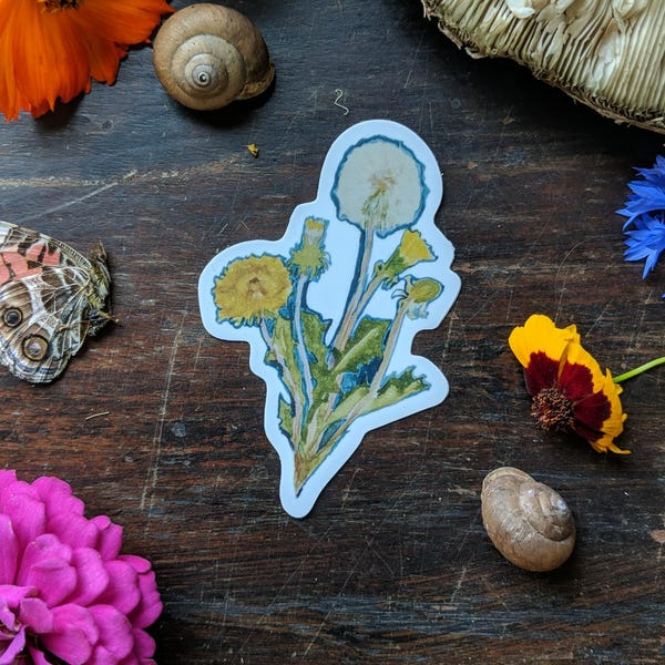 Dandelion Stickers - Etsy